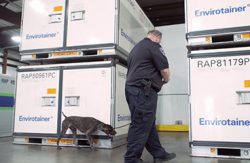 Pace Air Freight – The professional solution for your cold chain needs